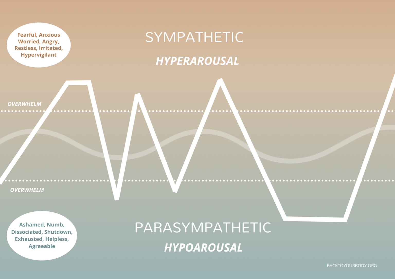Nervous System Regulation: A Guide Beyond ‘Calming Down’